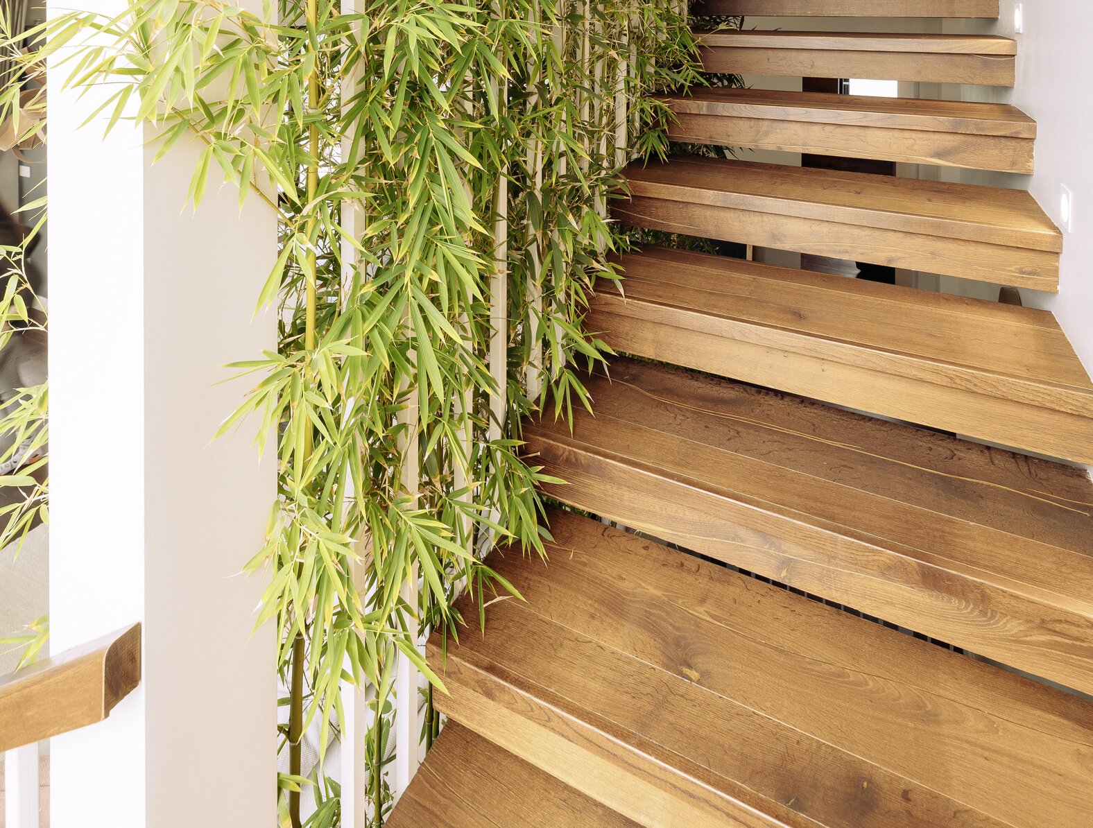 Biophilic Interior Design – natural living