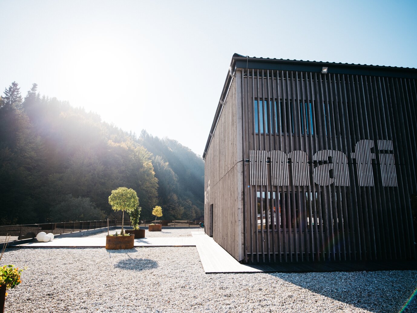 About the family business mafi