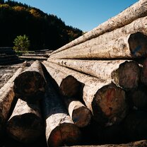 Highest quality: mafi natural wood floors