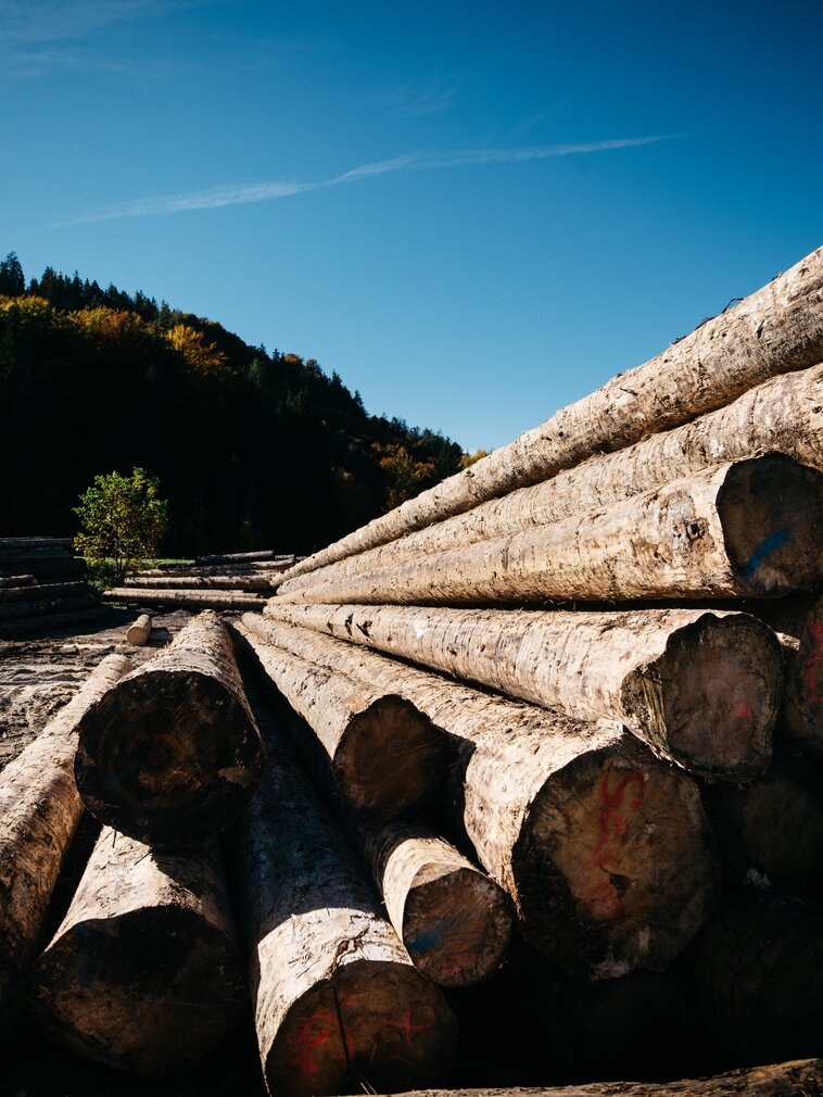 Highest quality: mafi natural wood floors