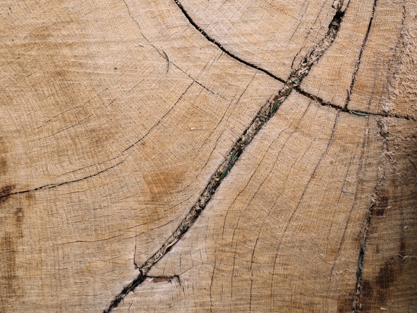 Highest quality: mafi natural wood floors