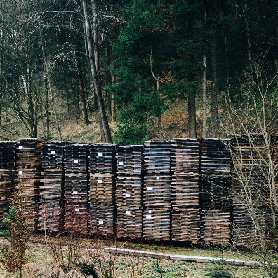 mafi Natural Wood Floors