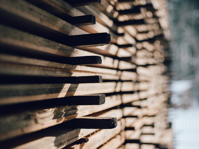 Our process: from the plank to the tree