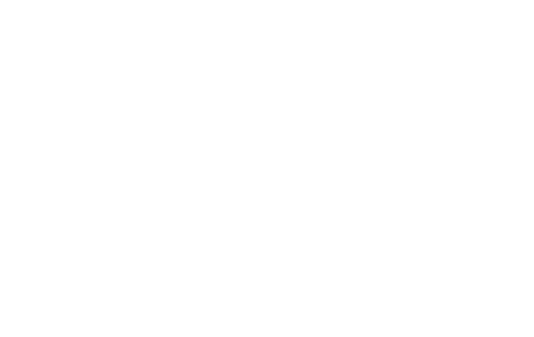 Our mafi service promise