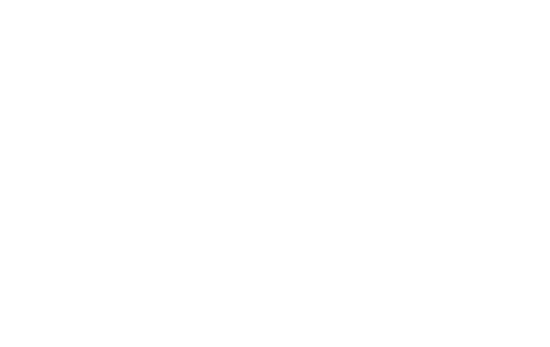 Our mafi service promise